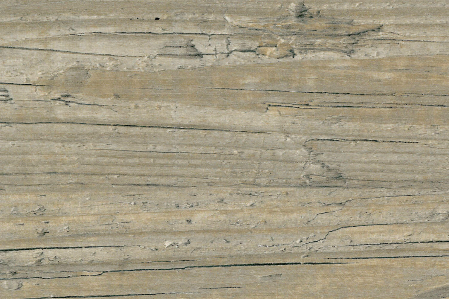 Dekory | TOPSTEP.com.pl