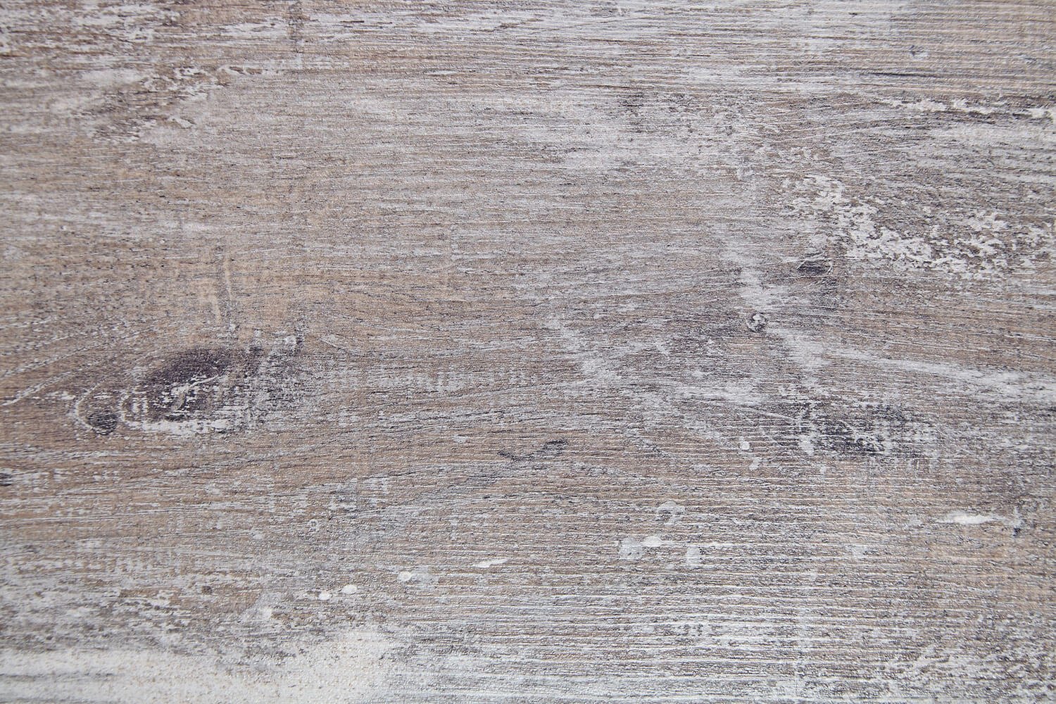 Dekory | TOPSTEP.com.pl