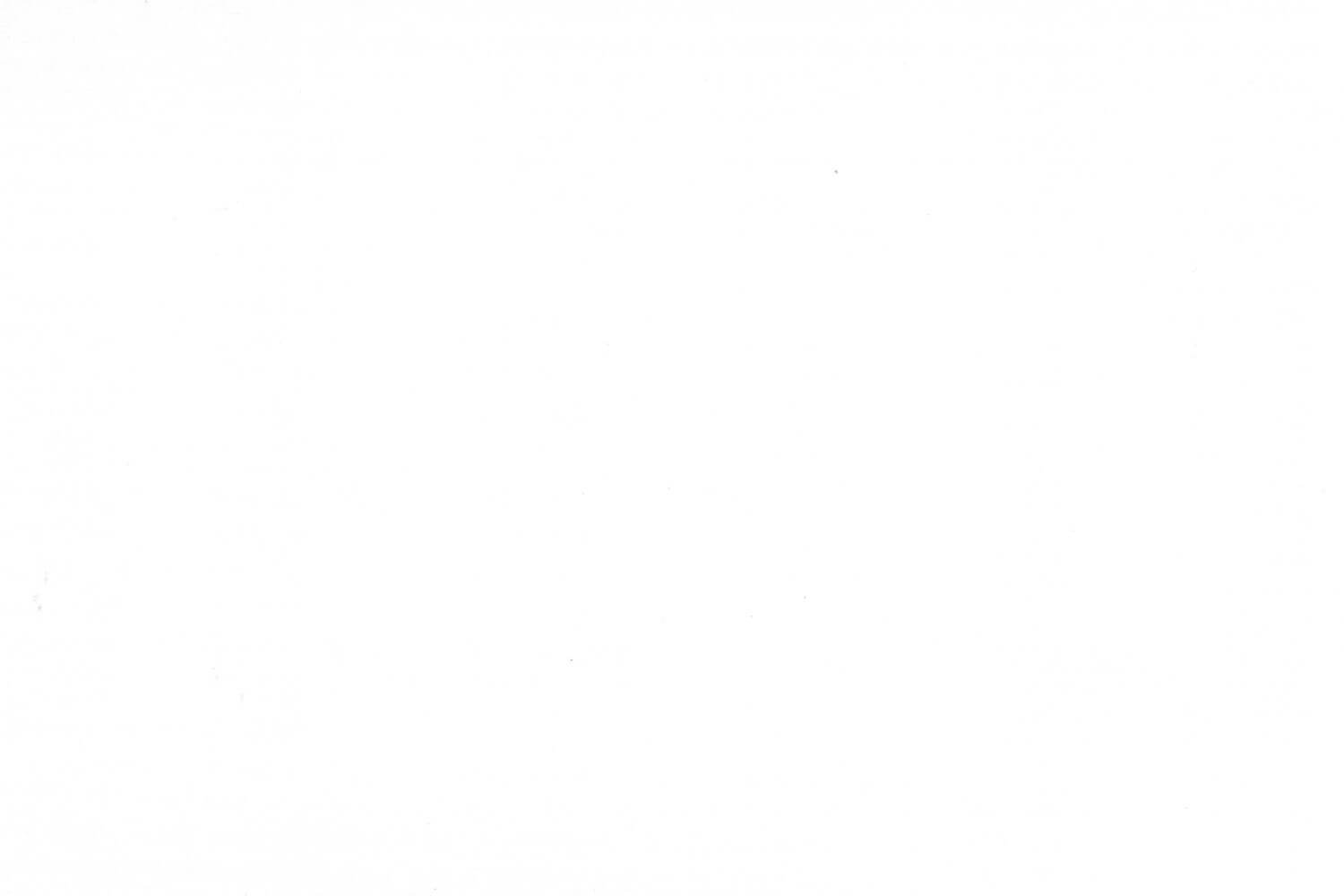 Dekory | TOPSTEP.com.pl