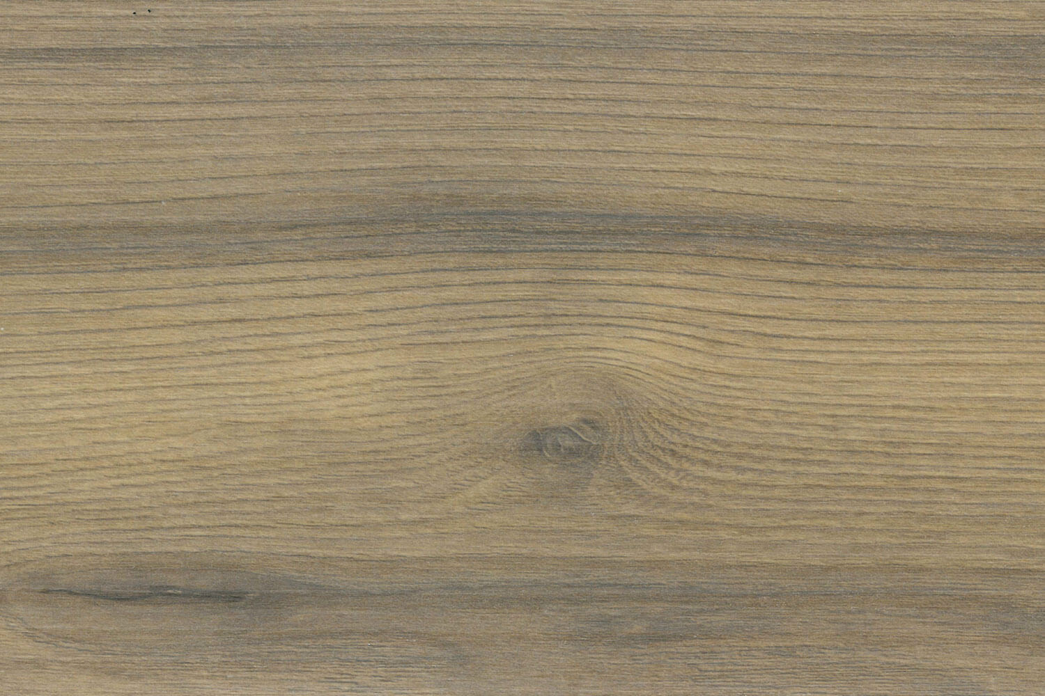 Dekory | TOPSTEP.com.pl